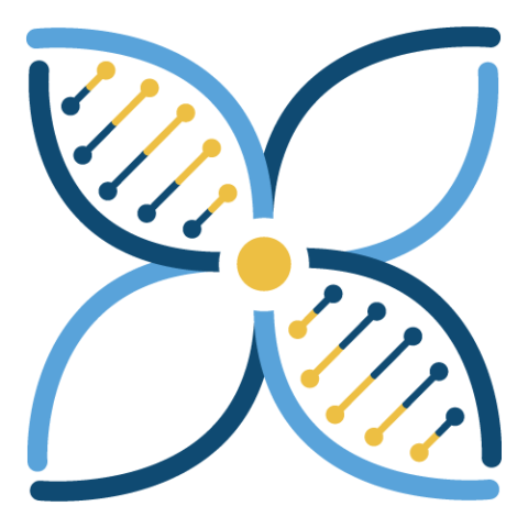 Overview & Symptoms | Bloom Syndrome Association